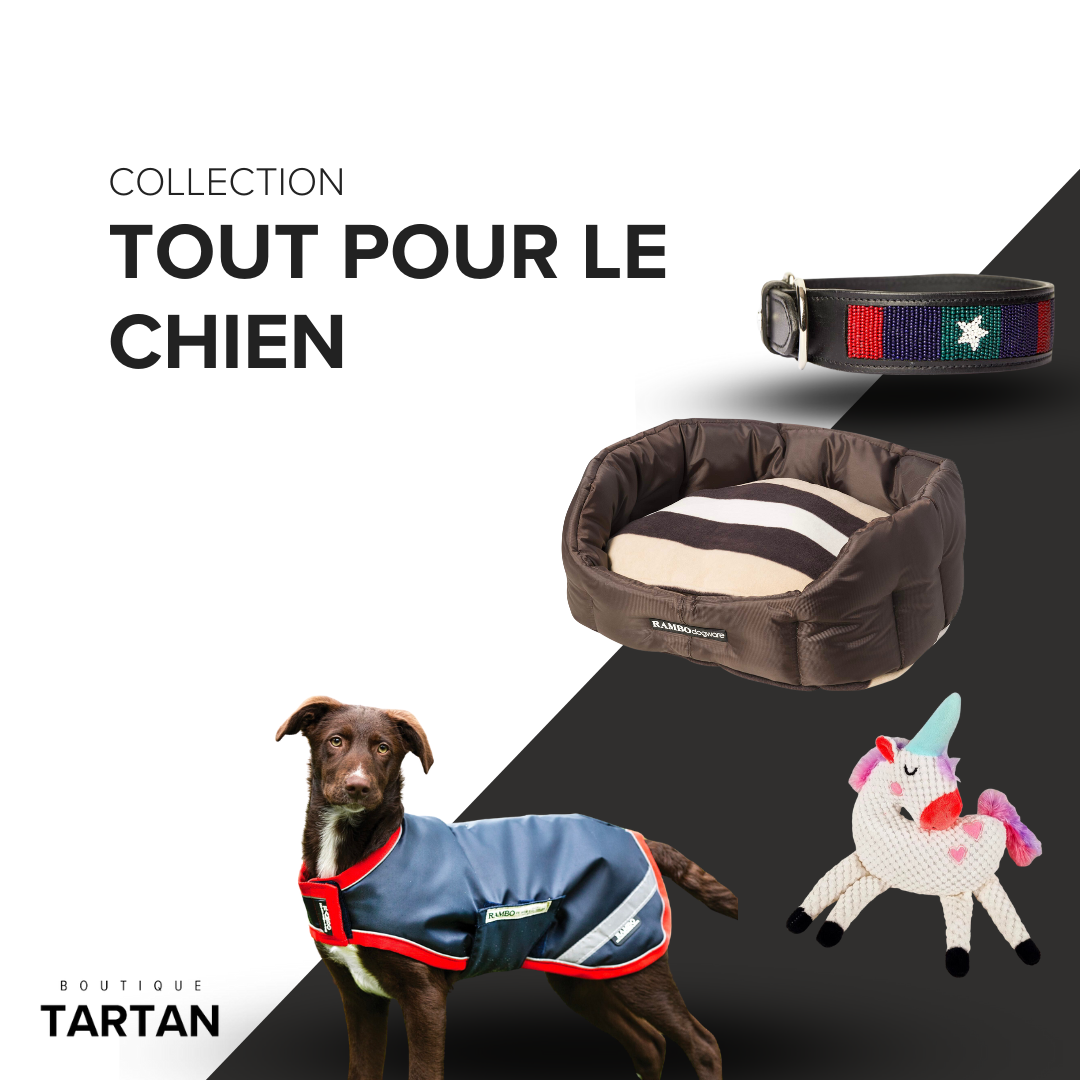 TOUT POUR LE CHIEN – TARTAN