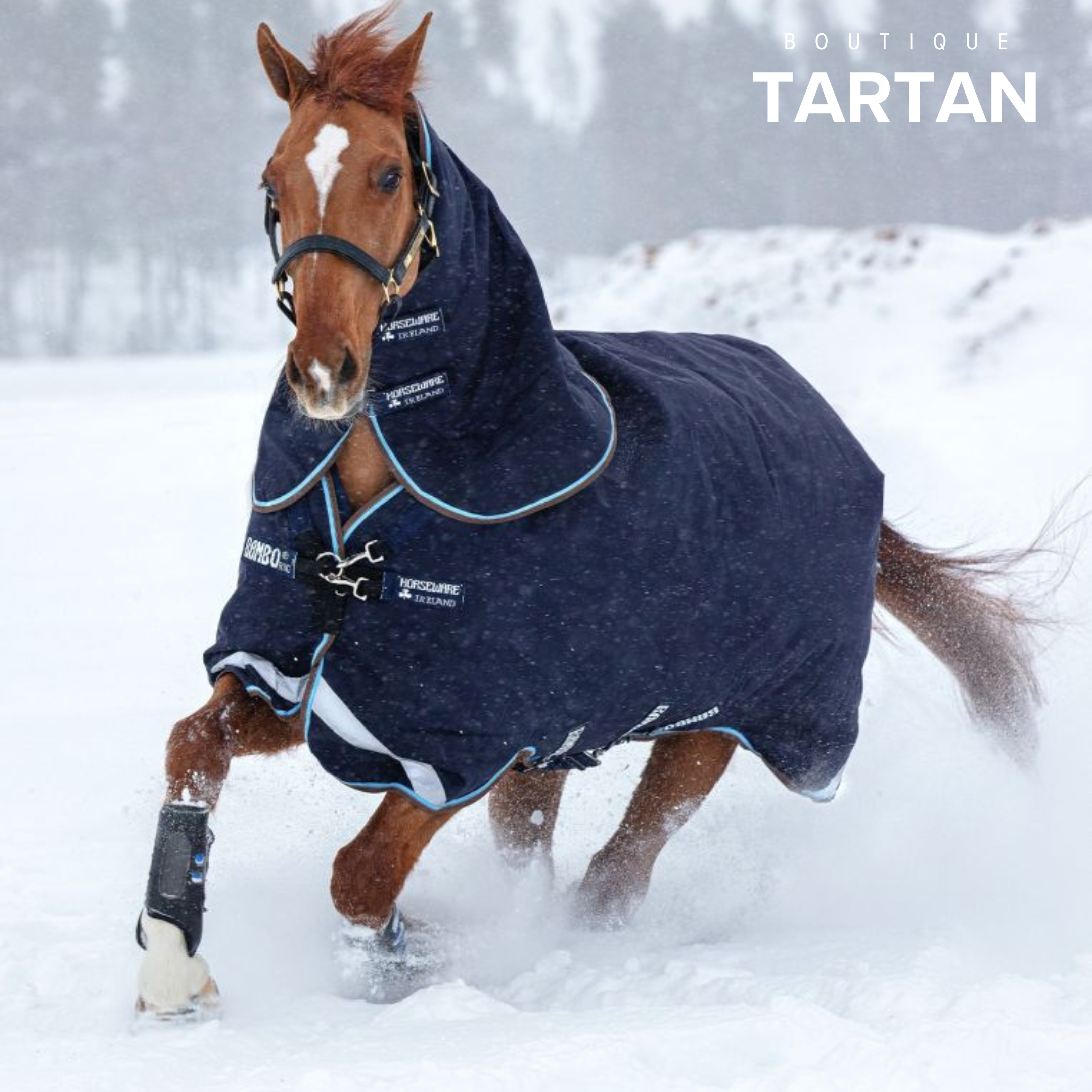 Rambo® Duo Turnout (100g Outer with 300g Liner) – TARTAN